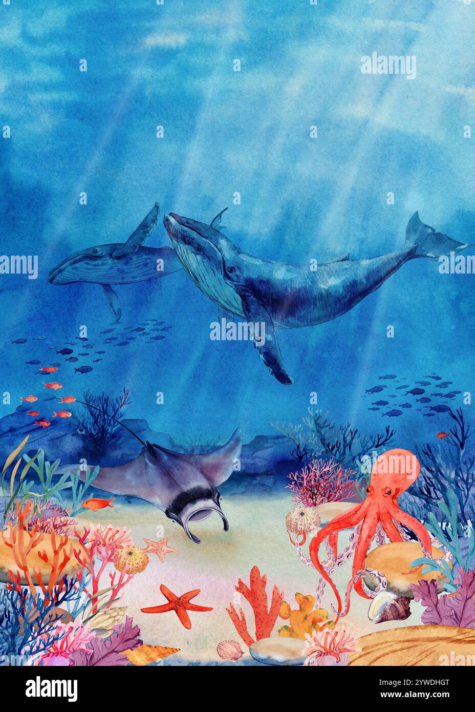 Underwater landscape with coral reef, mana rays, octopus, fish and ...