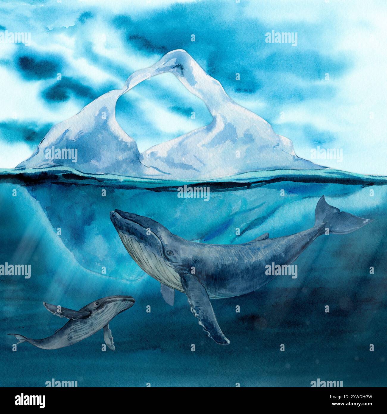 Humpback whale on the background of drifting ice in the ocean. Iceberg ...