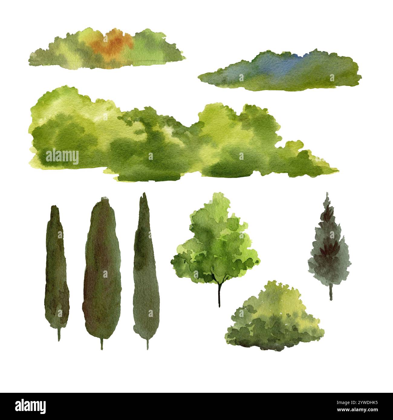 watercolor set of different green trees and shrubs, fir and cypress ...