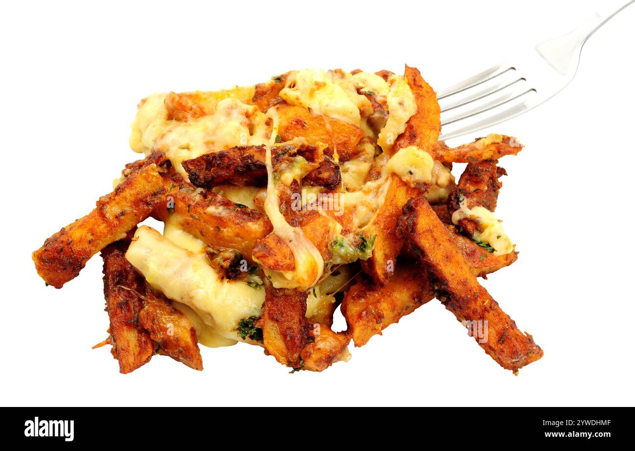 Portion of cheesy dirty fries, fried battered skin on potato chips ...