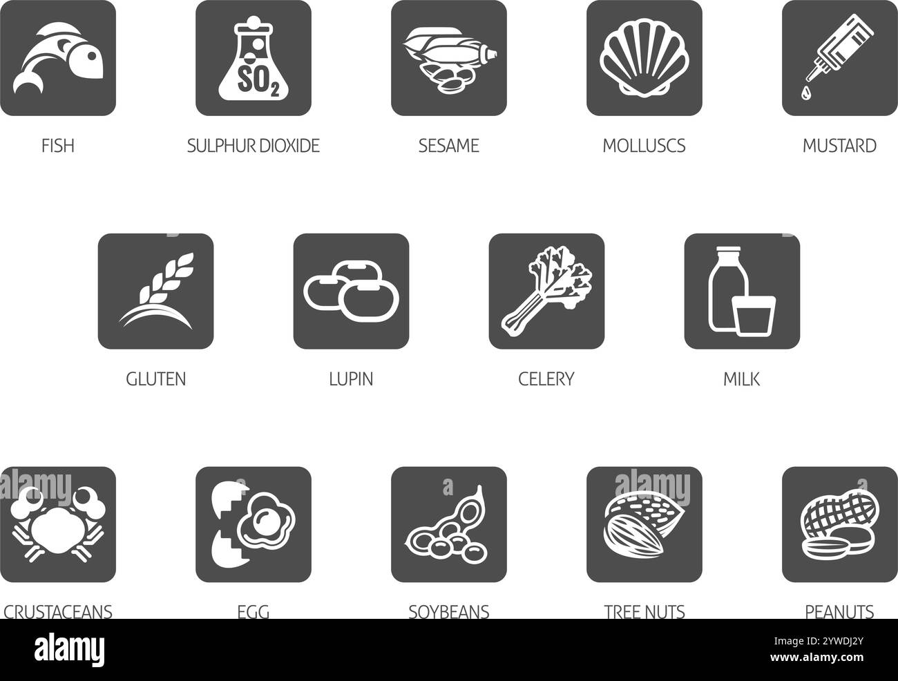 Allergen Food Major Allergy Icons Stock Vector Image & Art - Alamy