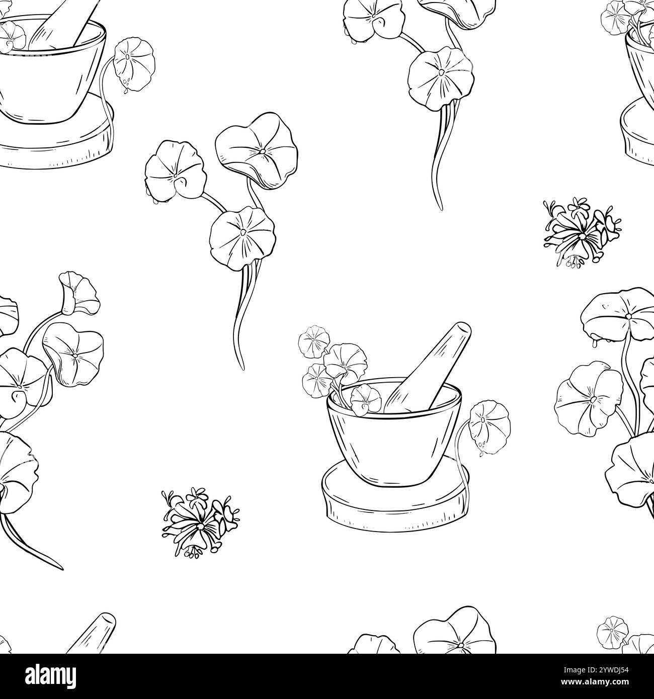 Centella asiatica skincare plants seamless pattern black white vector ...