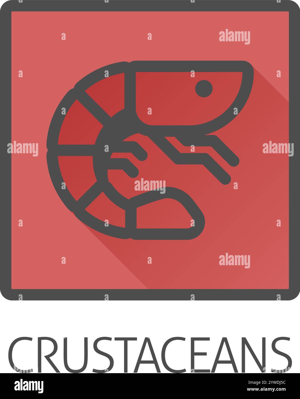 Prawn Shrimp Crustacean Food Allergen Allergy Icon Stock Vector Image ...