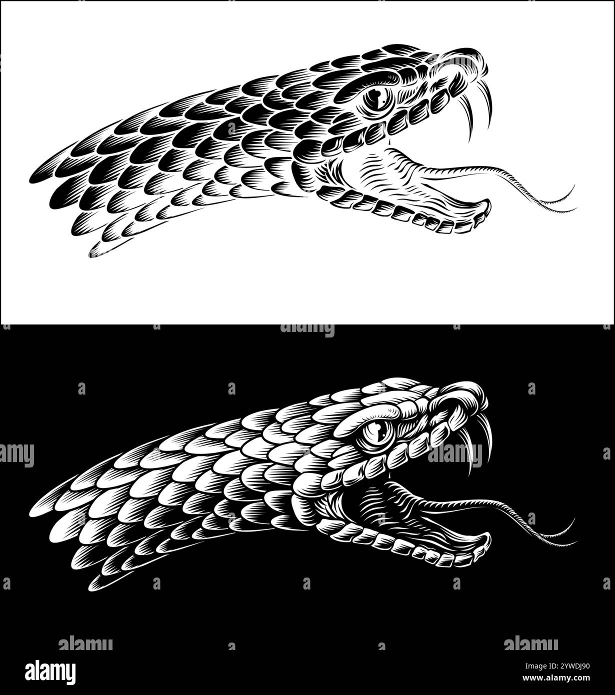 Viper Snake Head Drawings