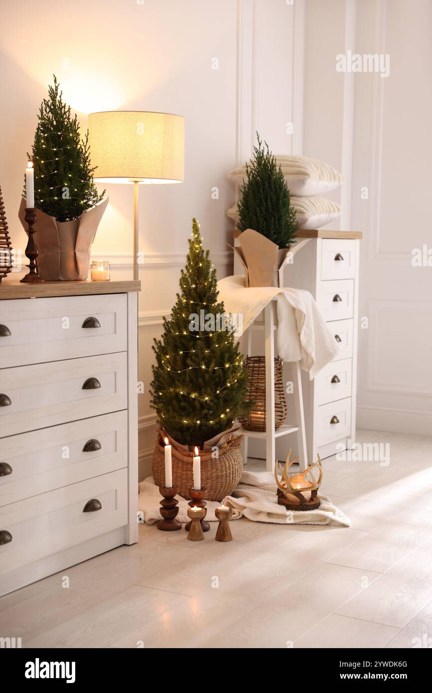 Small spruce trees with Christmas lights and other decor indoors Stock ...