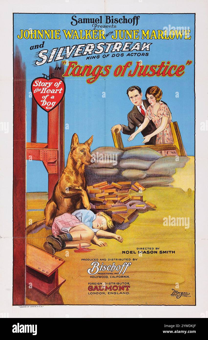 Fangs of Justice (Samuel Bischoff, 1926) Adventure with Silverstreak ...