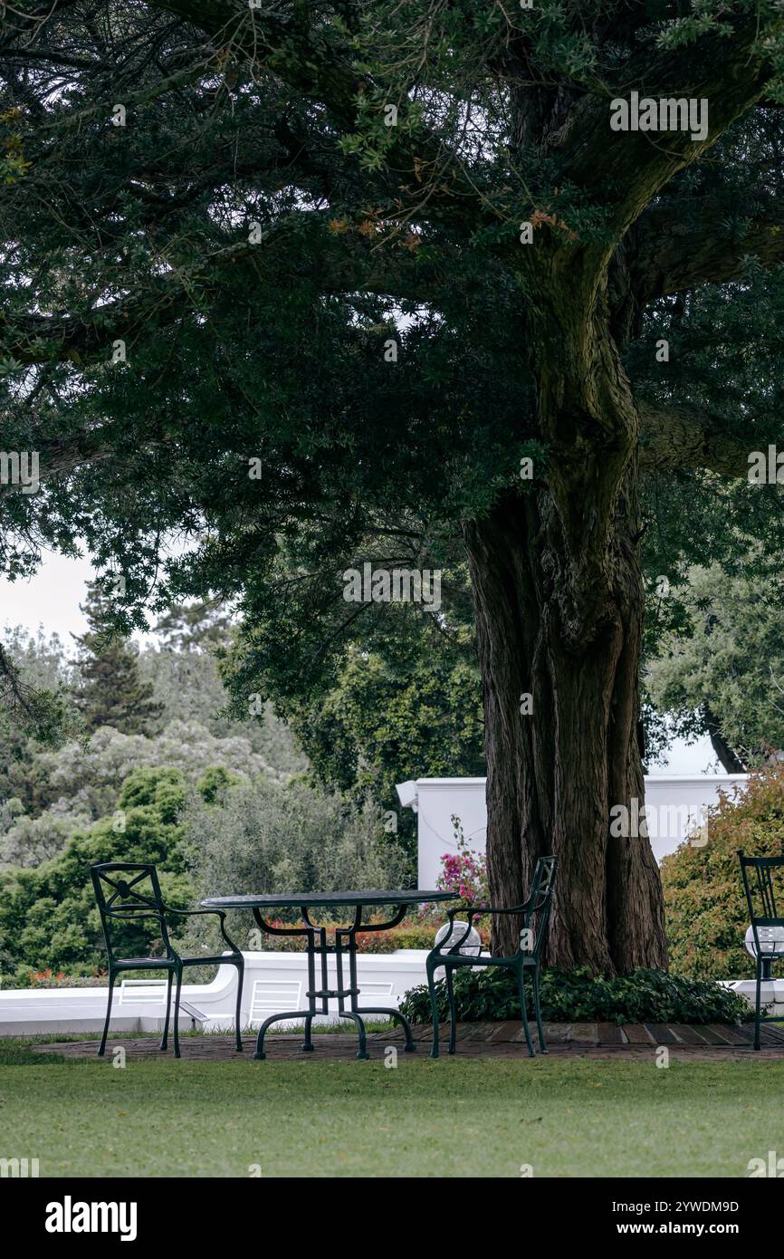 Table chair under tree in hi-res stock photography and images - Alamy
