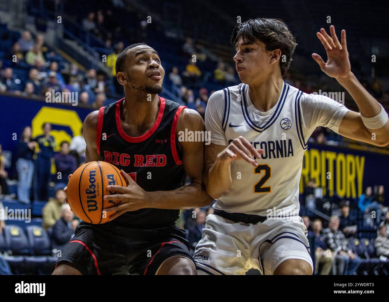 December 10 2024 Berkeley, CA U.S.A. Cornell guard Nazir Williams (1 ...