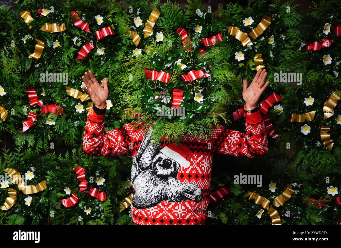Stephen Roxburgh displays Christmas wreaths after making them at the ...
