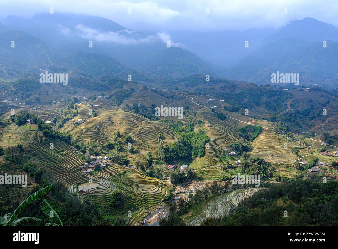 Vietnam, 2024-02-12, Sapa, mountain, North Vietnam, rice fields ...