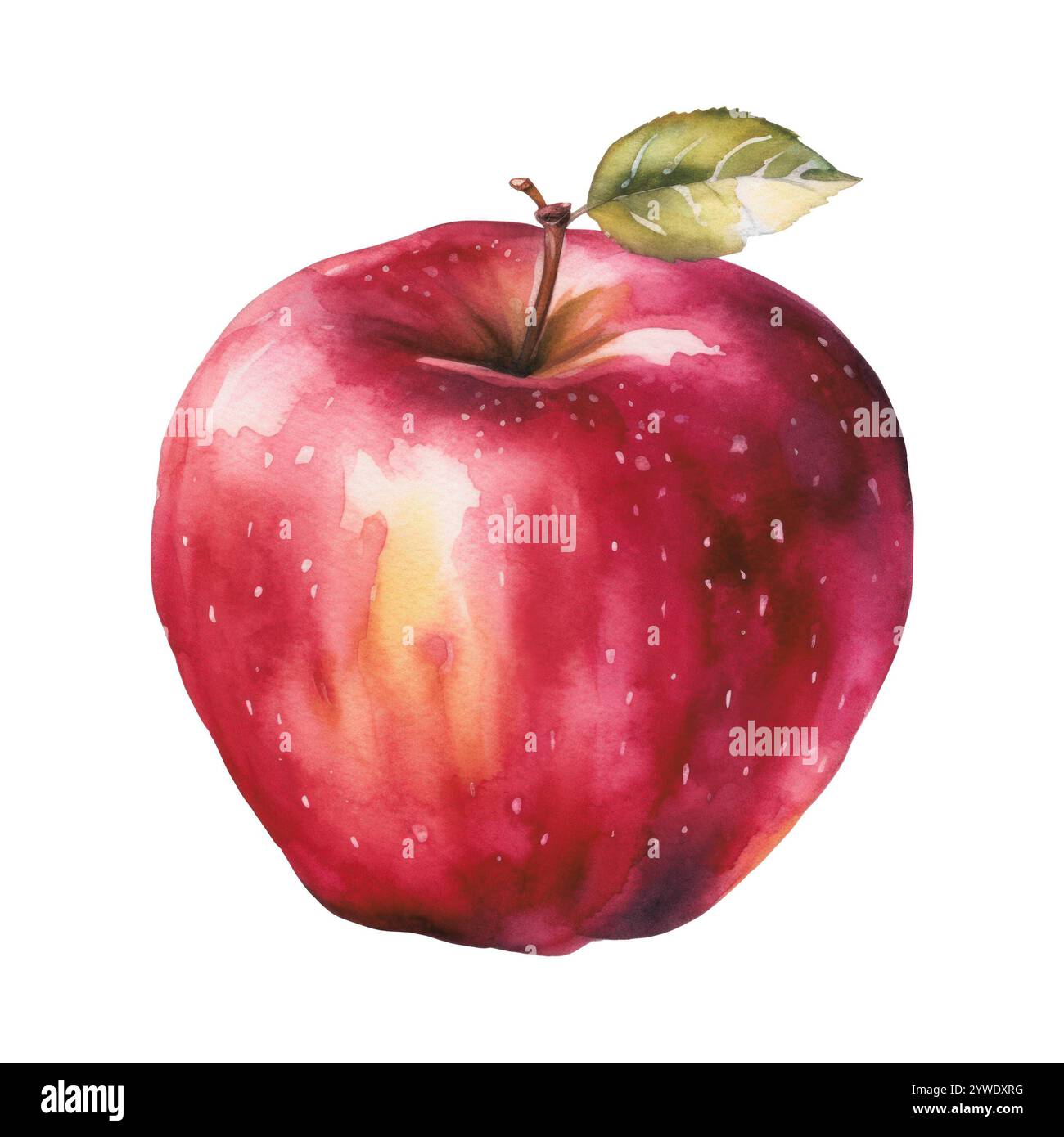 Apple Clipart Watercolor Stock Photo - Alamy