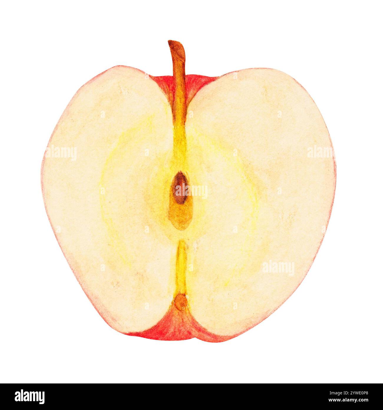 Apple Clipart Watercolor Stock Photo - Alamy