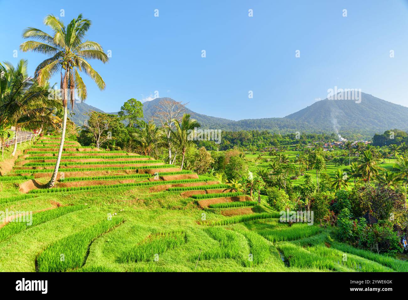Awesome view of scenic rice terraces in Bali, Indonesia Stock Photo - Alamy