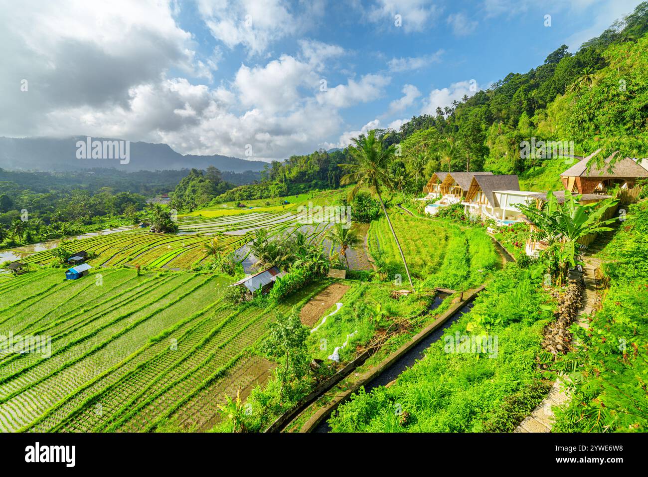 Awesome view of scenic rice terraces in Bali, Indonesia Stock Photo - Alamy