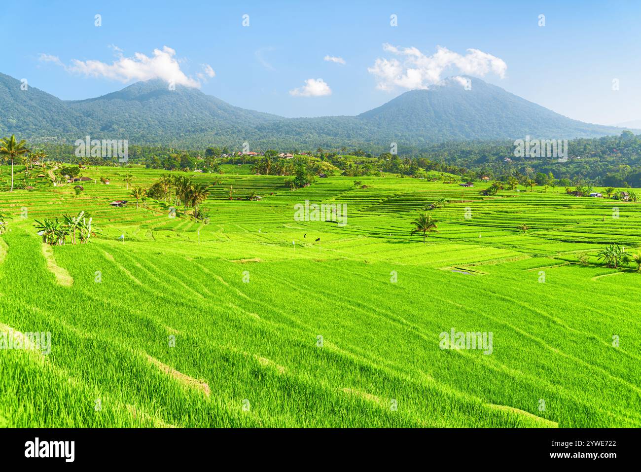 Awesome view of scenic rice terraces in Bali, Indonesia Stock Photo - Alamy
