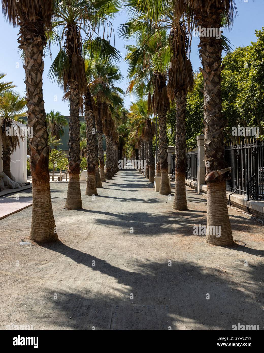 The Paseo del Parque in Malaga. Shaded by palm trees and plane-trees ...