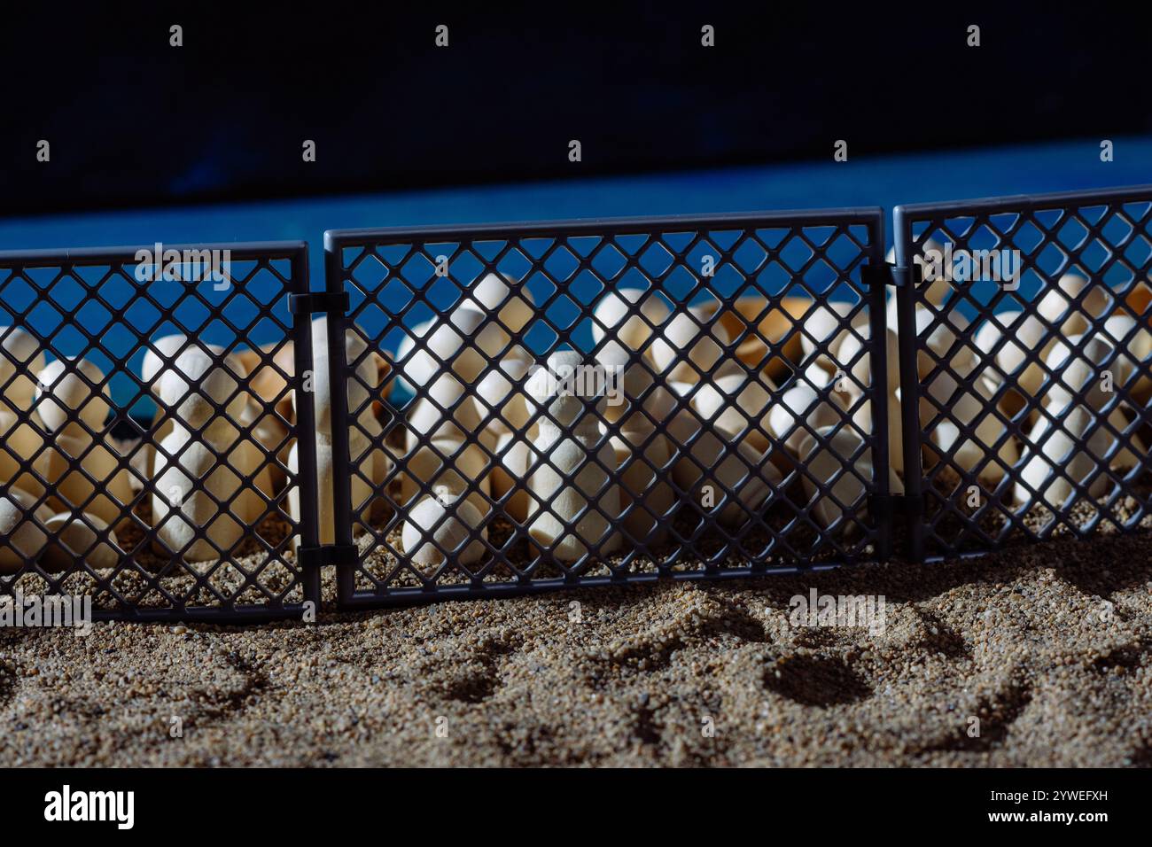 Conceptual Allegory of Borders and Migration Hardships Stock Photo - Alamy