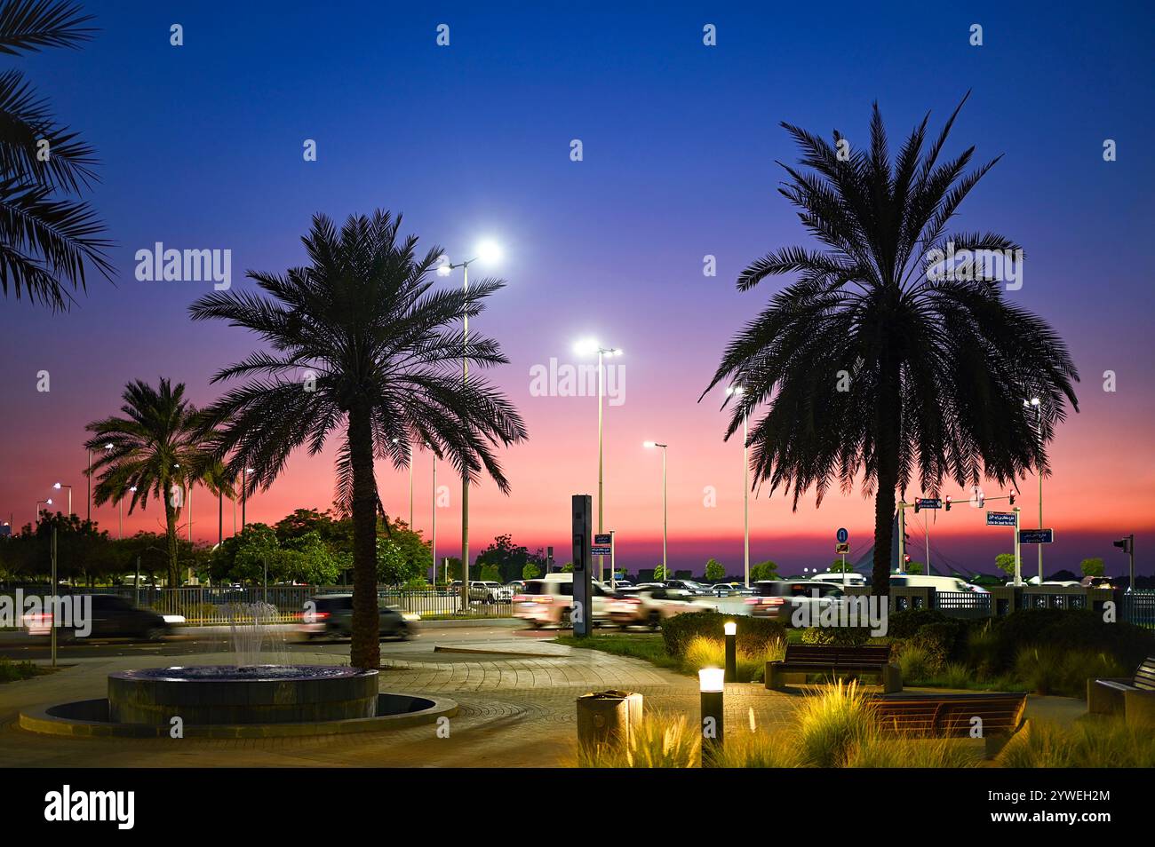 Amazing warm sunset with palm trees in Abu Dhabi, UAE Stock Photo - Alamy