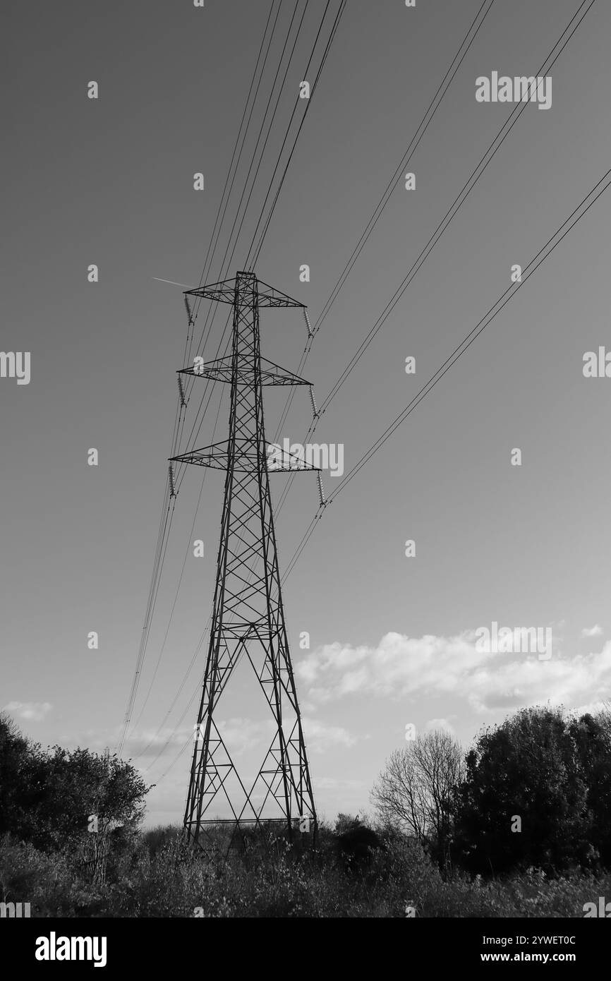 Grayscale view of overhead cables and a tall electricity pylon Stock ...