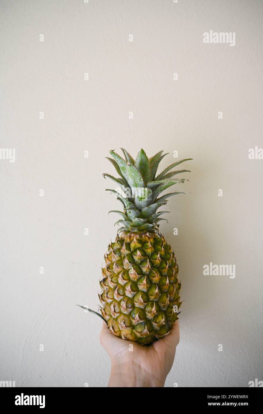 Organic pineapple in human hand vertical shot Stock Photo - Alamy