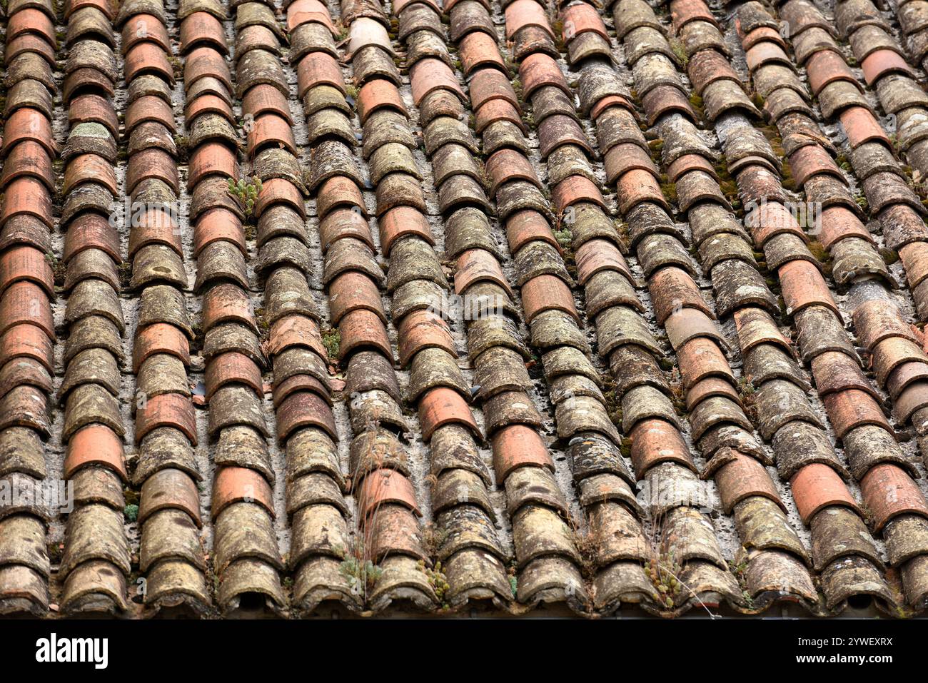 A closeup of the curved tiles of a pantile roof Stock Photo - Alamy
