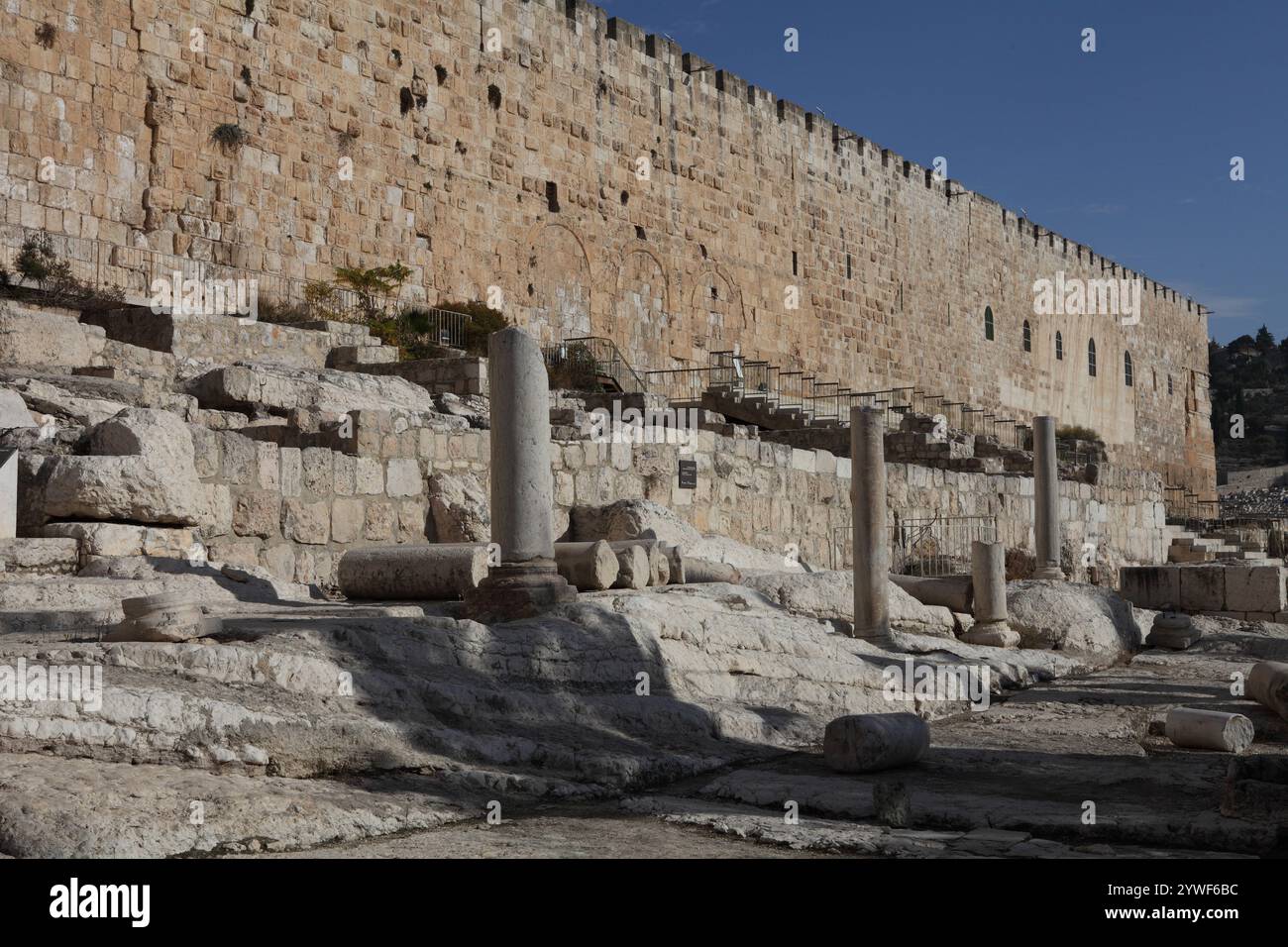 Columns brought from the ruined 8th century AD 4th Umayyad Palace & put ...
