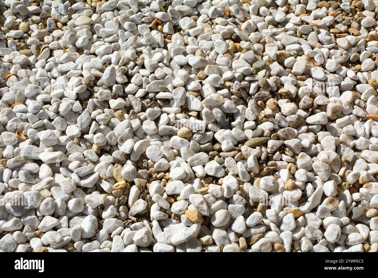 Smooth white pebbles for landscapin Stock Photo - Alamy