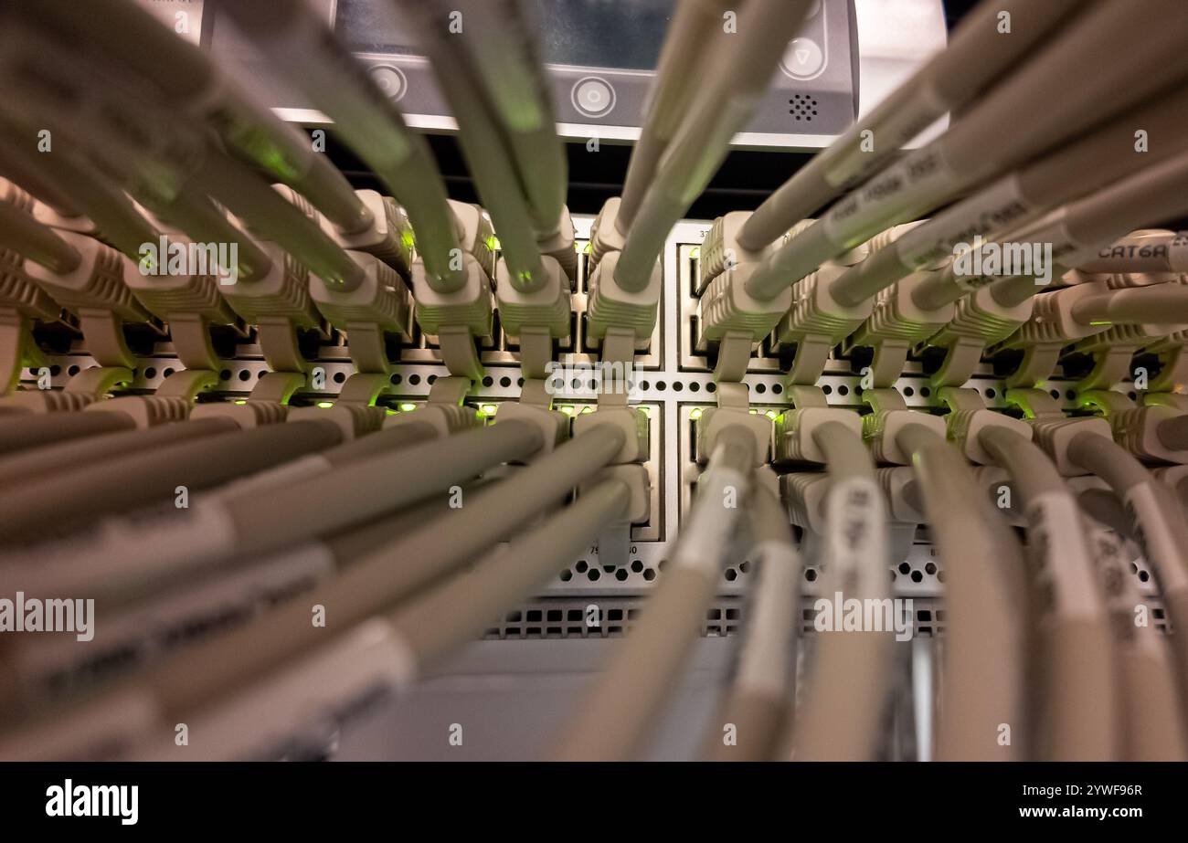 Network cables connected in a server room showcasing organized data ...