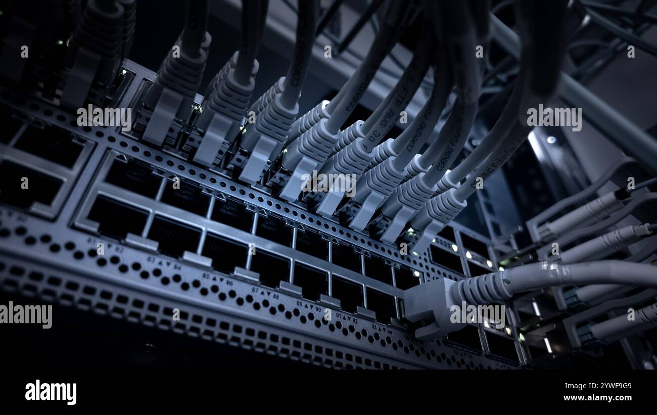 Network cables connected to a server rack in a data center during evening hours Stock Photo - Alamy