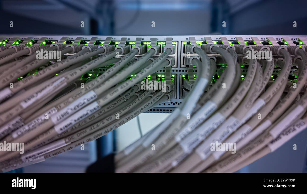 Network cables are organized in a server room displaying green ...