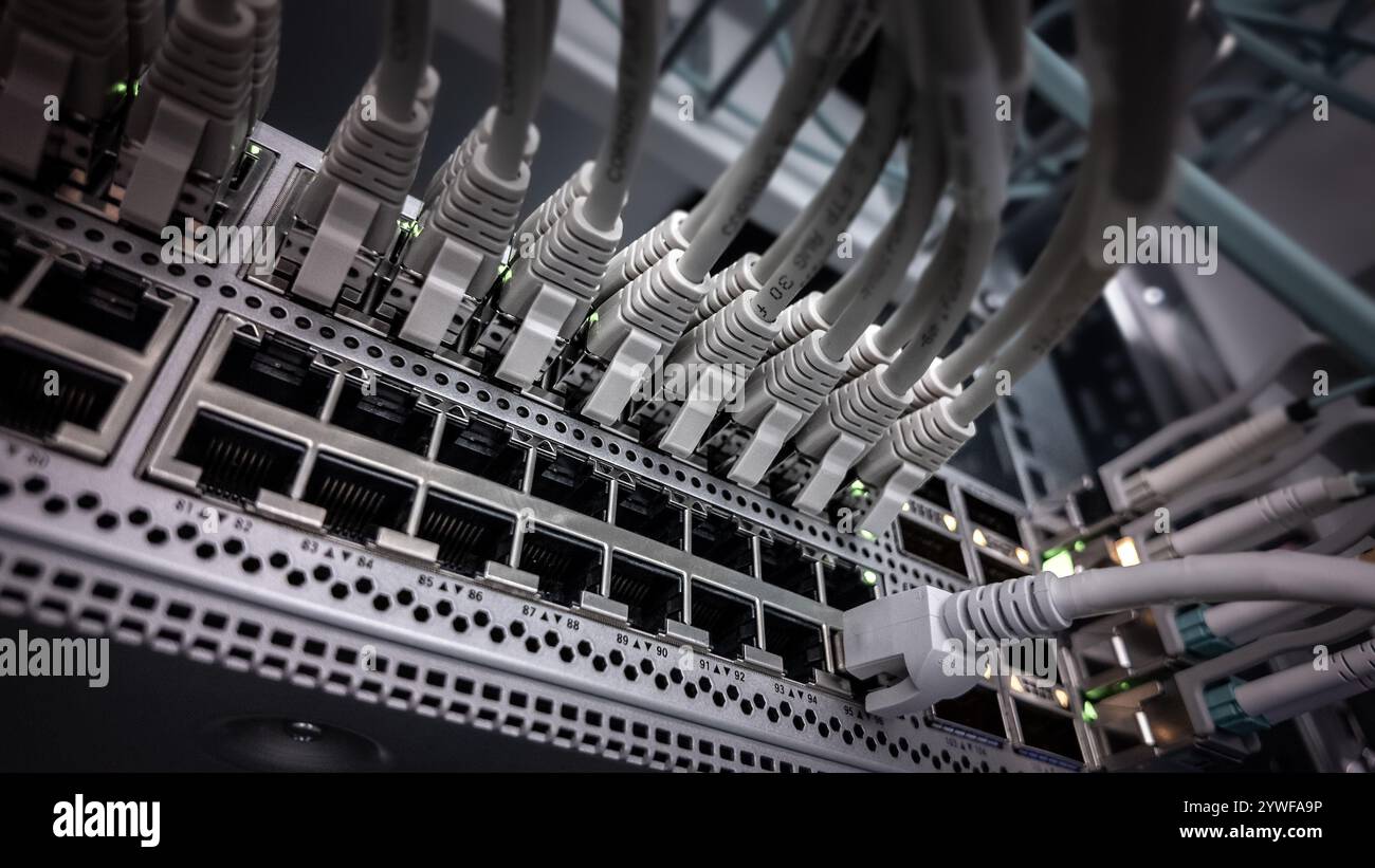 Network cables connected in a server room for data management and ...
