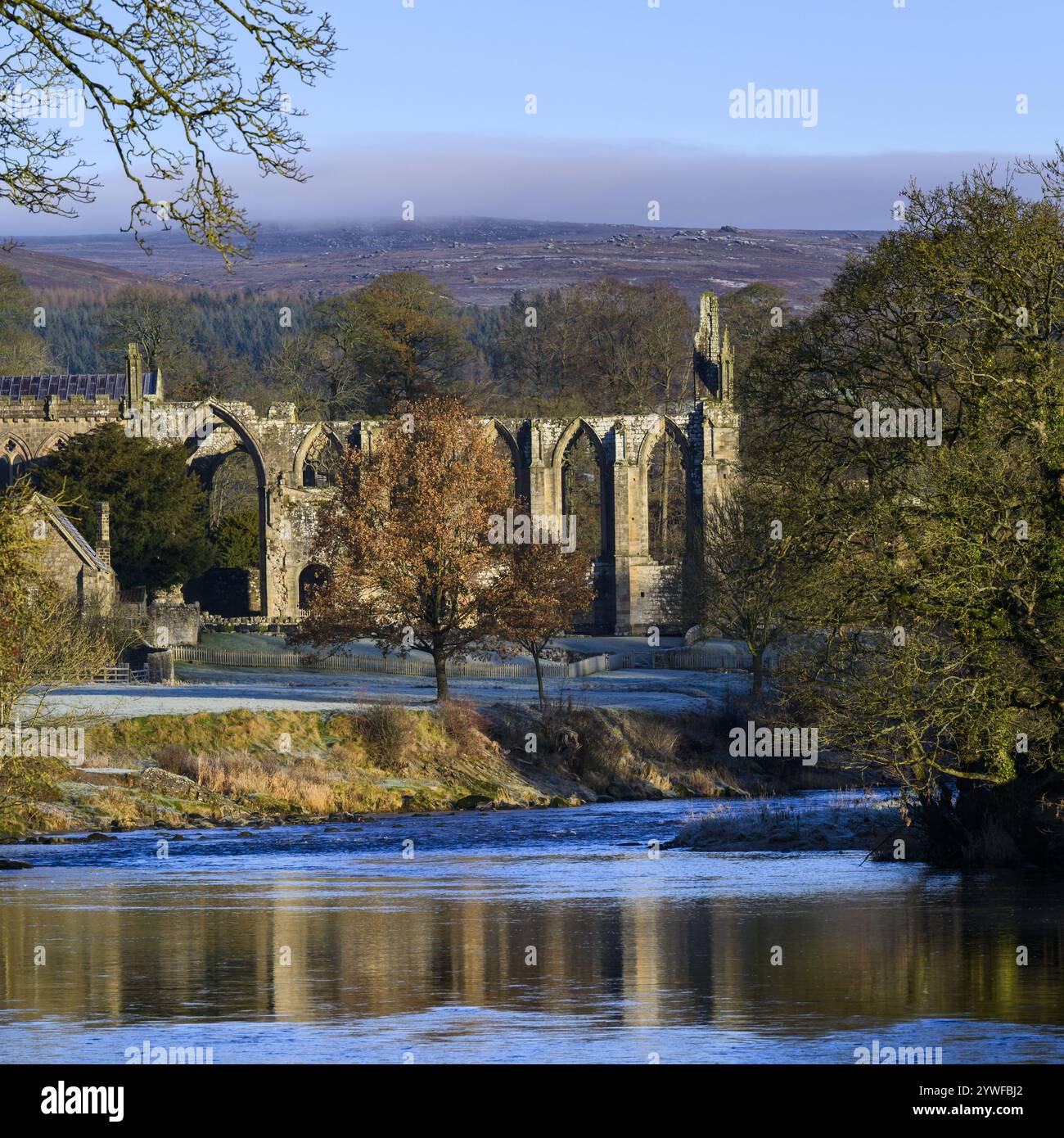 Bolton Abbey (beautiful historic medieval riverside ruin, mist high on ...