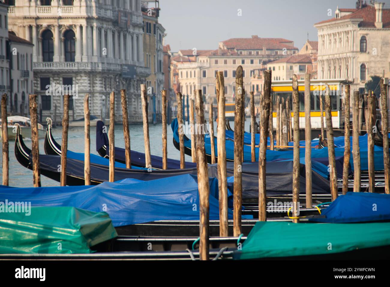 Venice cultural scene hi-res stock photography and images - Alamy