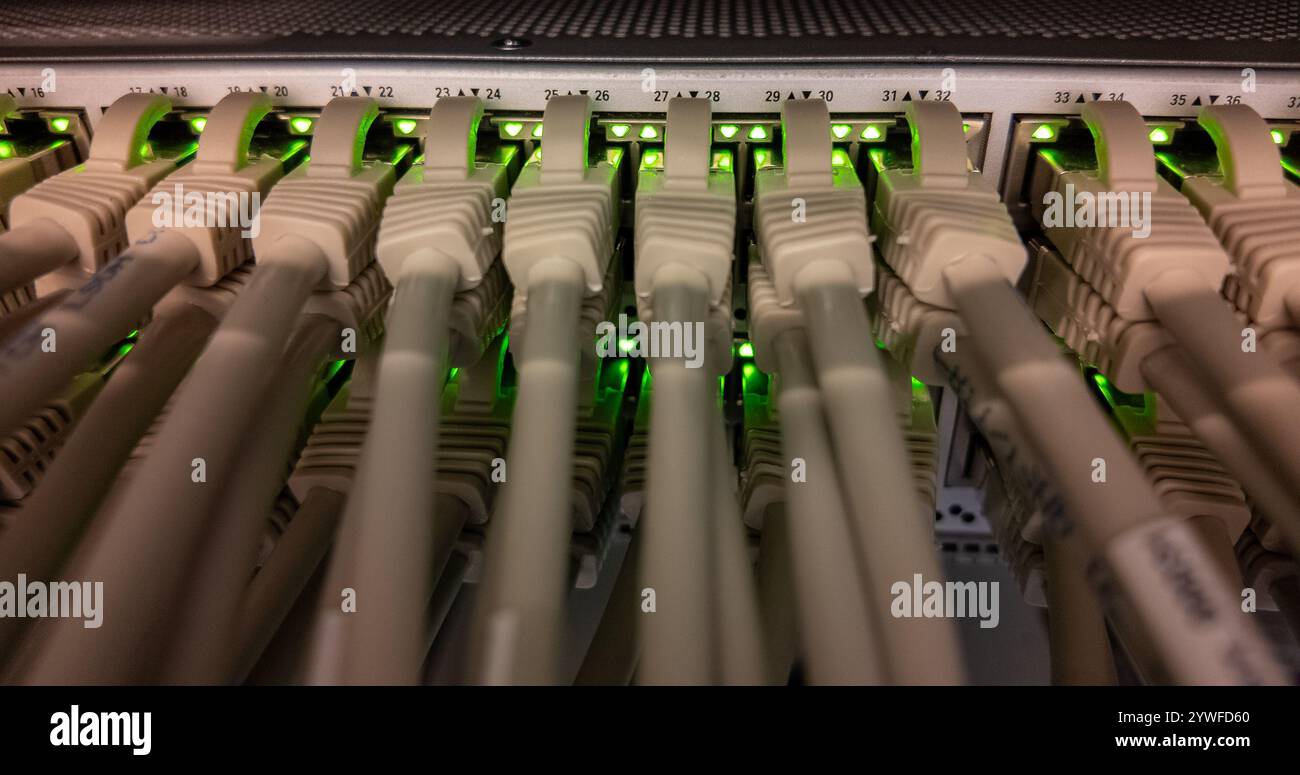A collection of ethernet cables is interconnected to a server unit ...