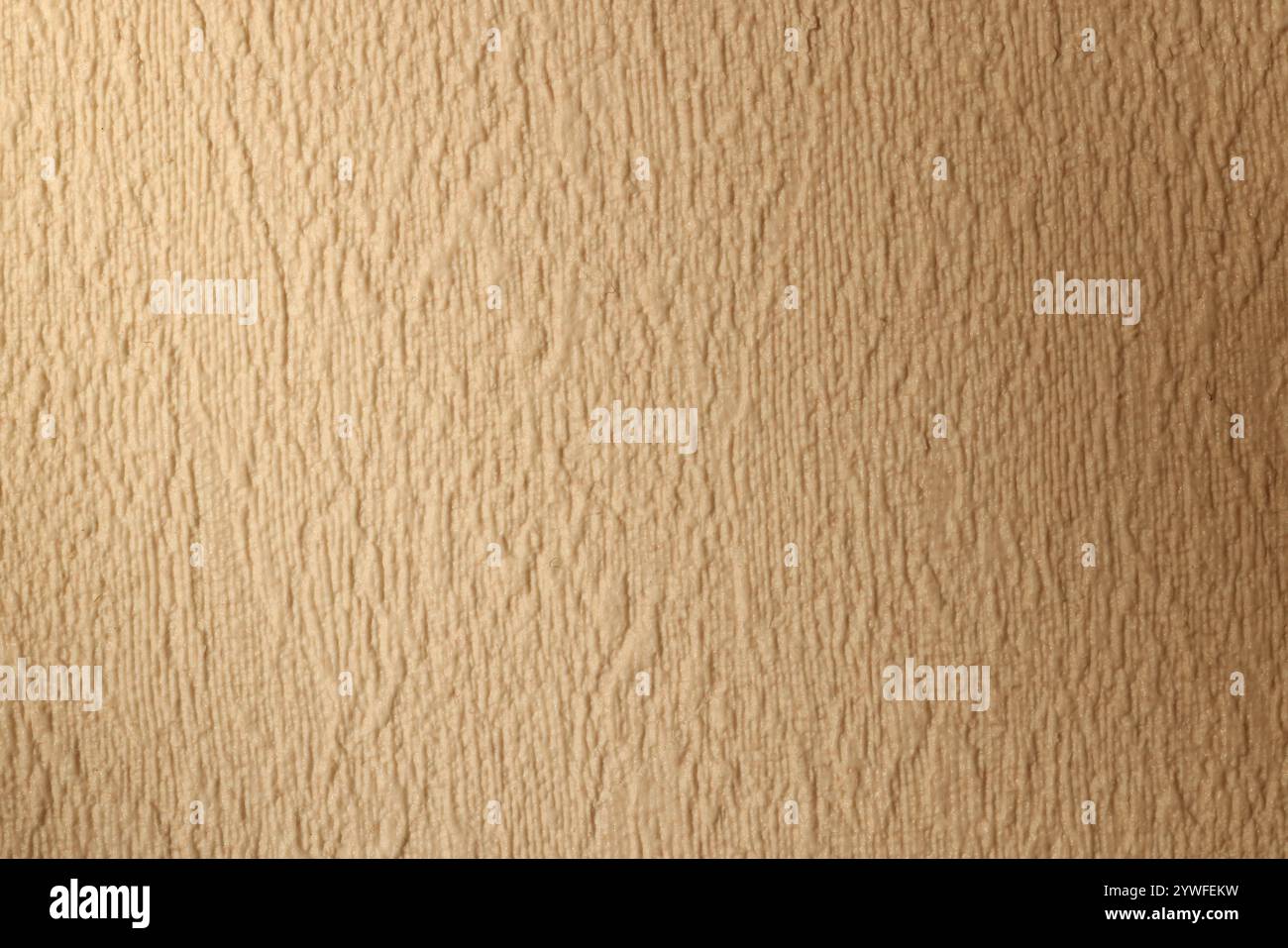 A Textured Surface on a Beige Wall Featuring Subtle and Elegant ...