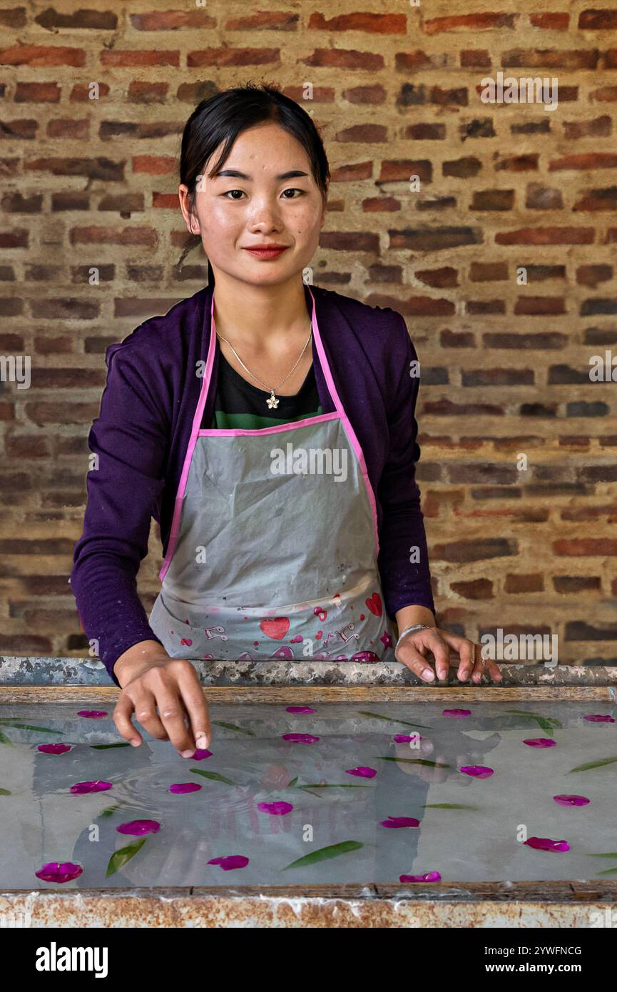 Local woman making traditional mulberry paper in Luang Prabang, Laos ...
