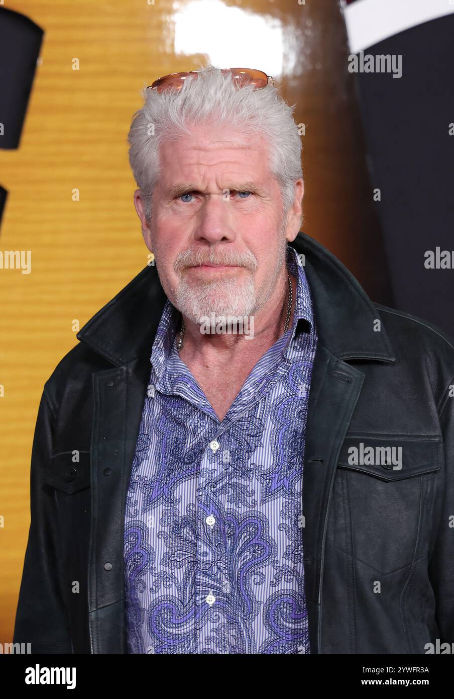 Hollywood, Ca. 10th Dec, 2024. Ron Perlman at the Los Angeles Premiere ...