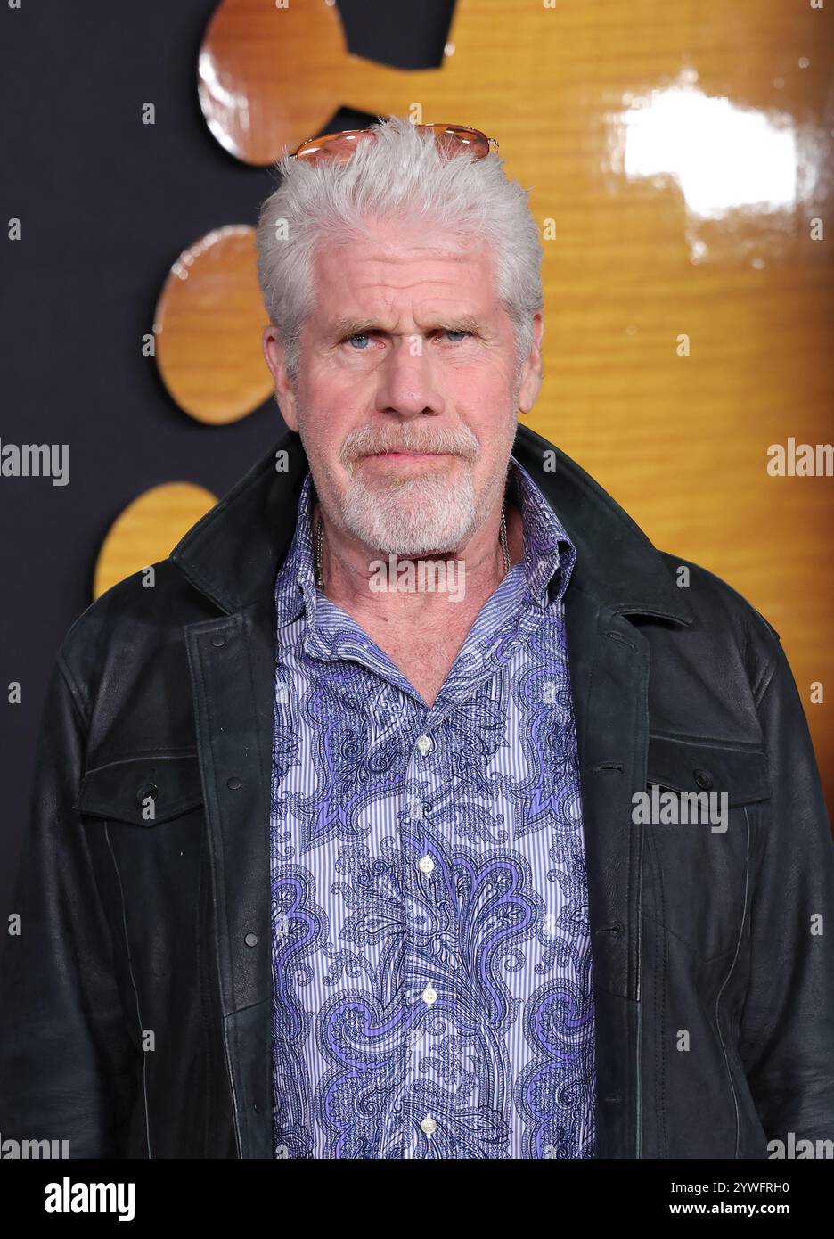 Hollywood, Ca. 10th Dec, 2024. Ron Perlman at the Los Angeles Premiere ...