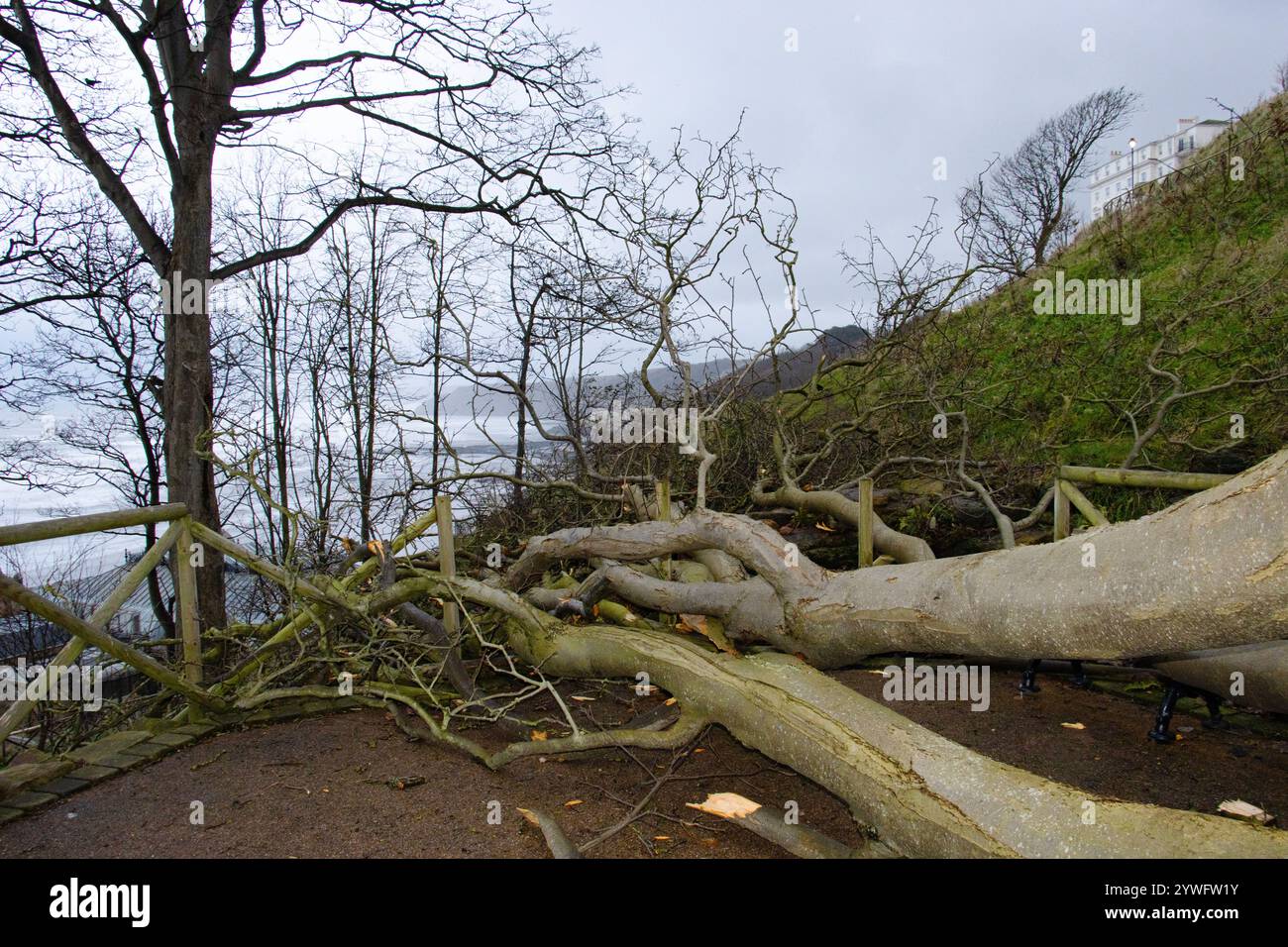 Storm Darragh lashed the UK with near Hurricane Force winds in 2025 ...