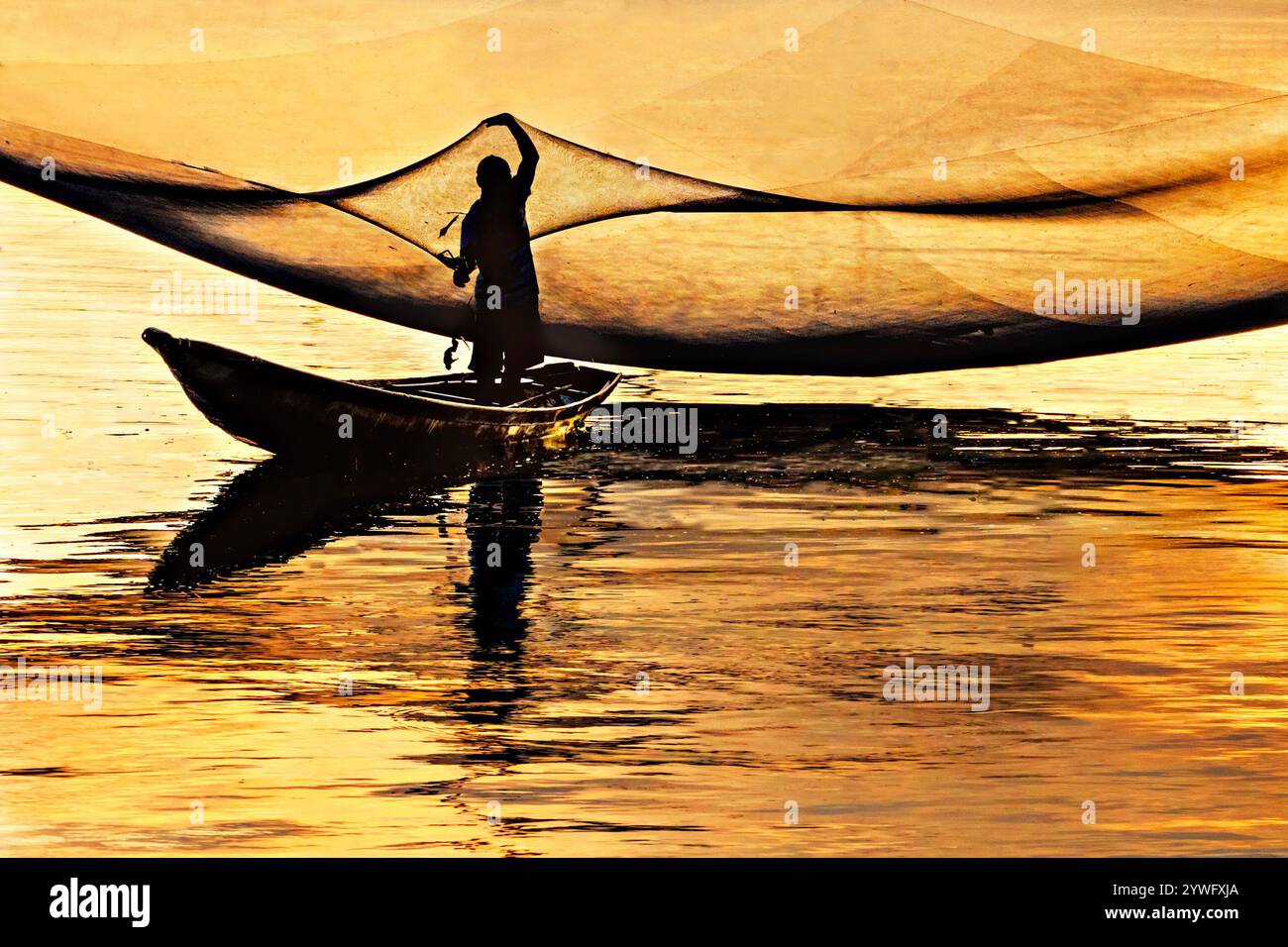 Fisherman collecting fish from his nets in the morning in Hue, Vietnam ...