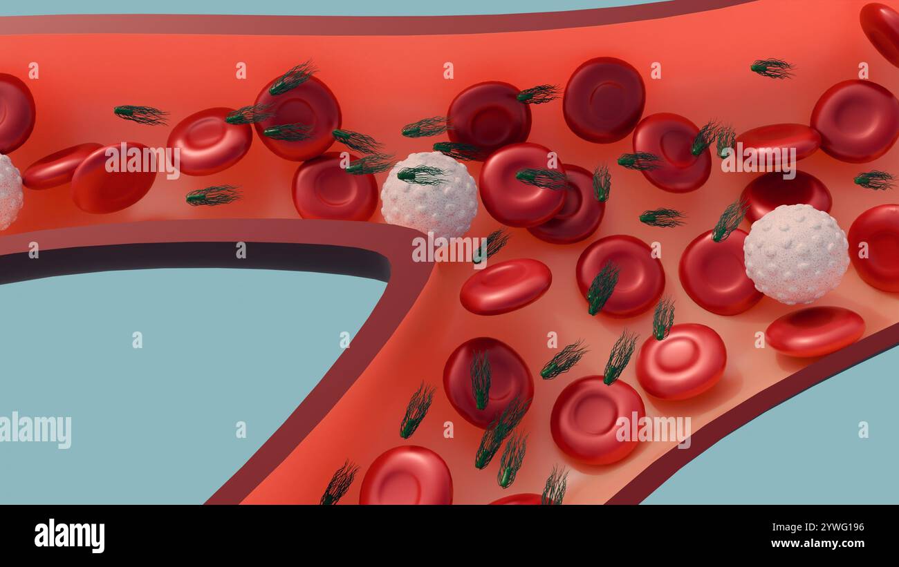 Proteus mirabilis can cause bloodstream infections by releasing ...