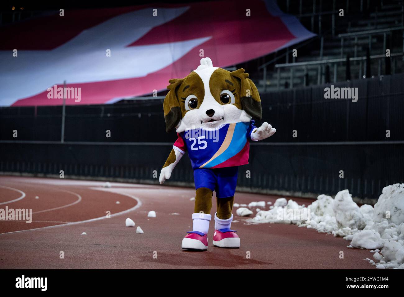 Maskottchen Maddli (Berner Sennenhund Welpe), SUI, Schweiz vs ...