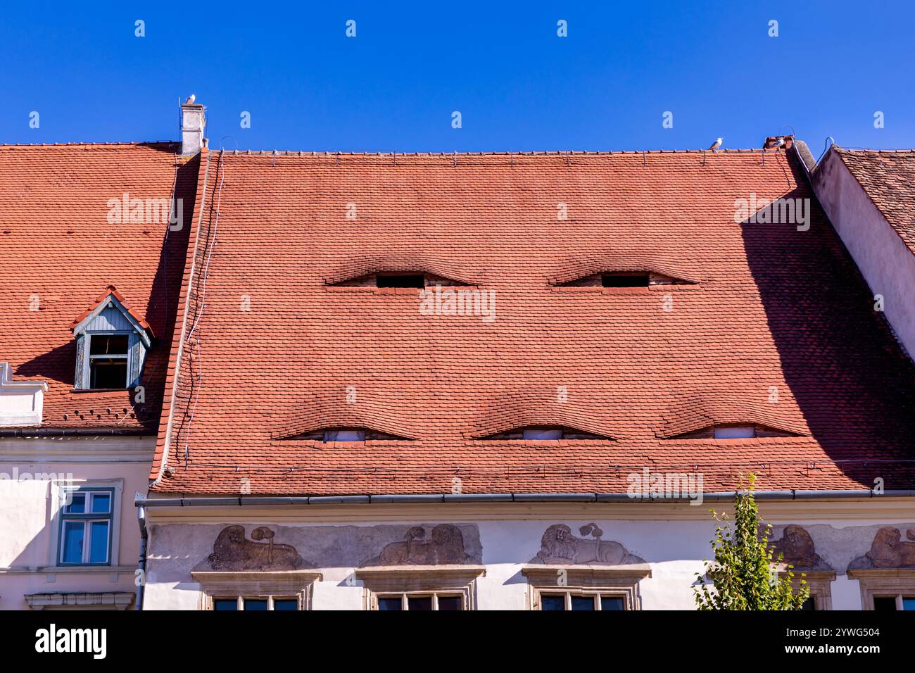 The traditional roof of old buildings in Sibiu, Transylvania, Romania ...