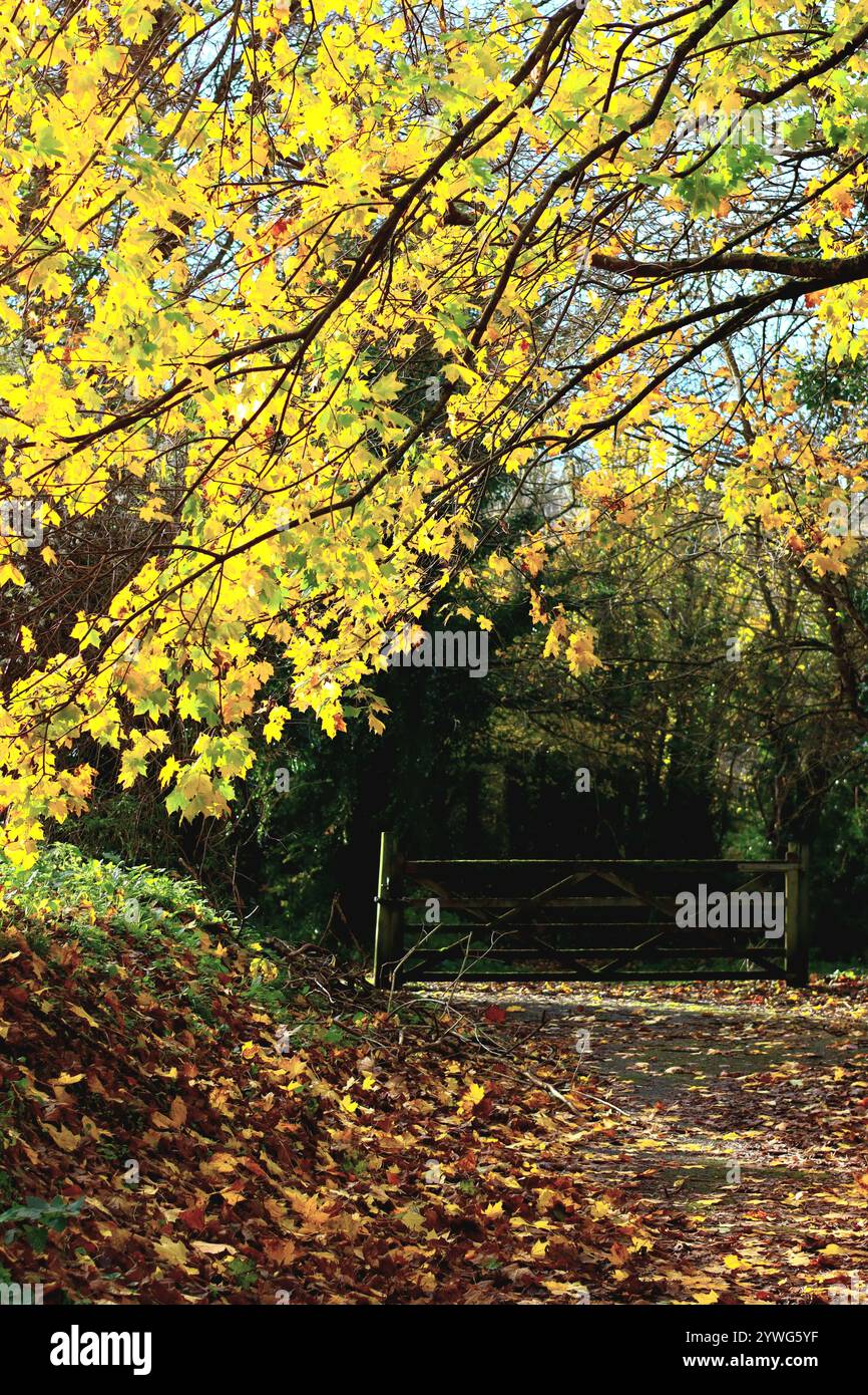 Wooden gate path pathway hi-res stock photography and images - Alamy