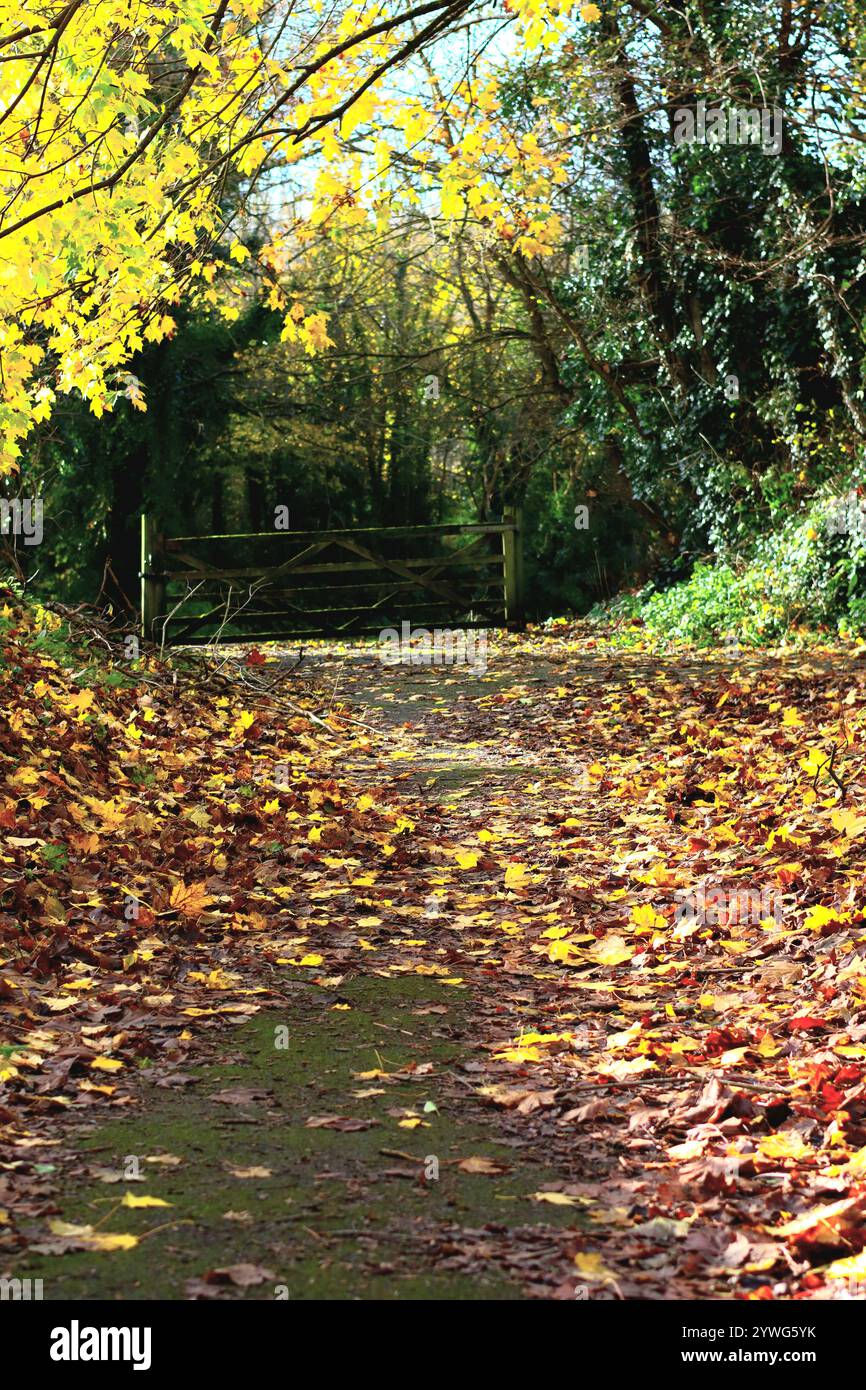 Wooden gate path pathway hi-res stock photography and images - Alamy
