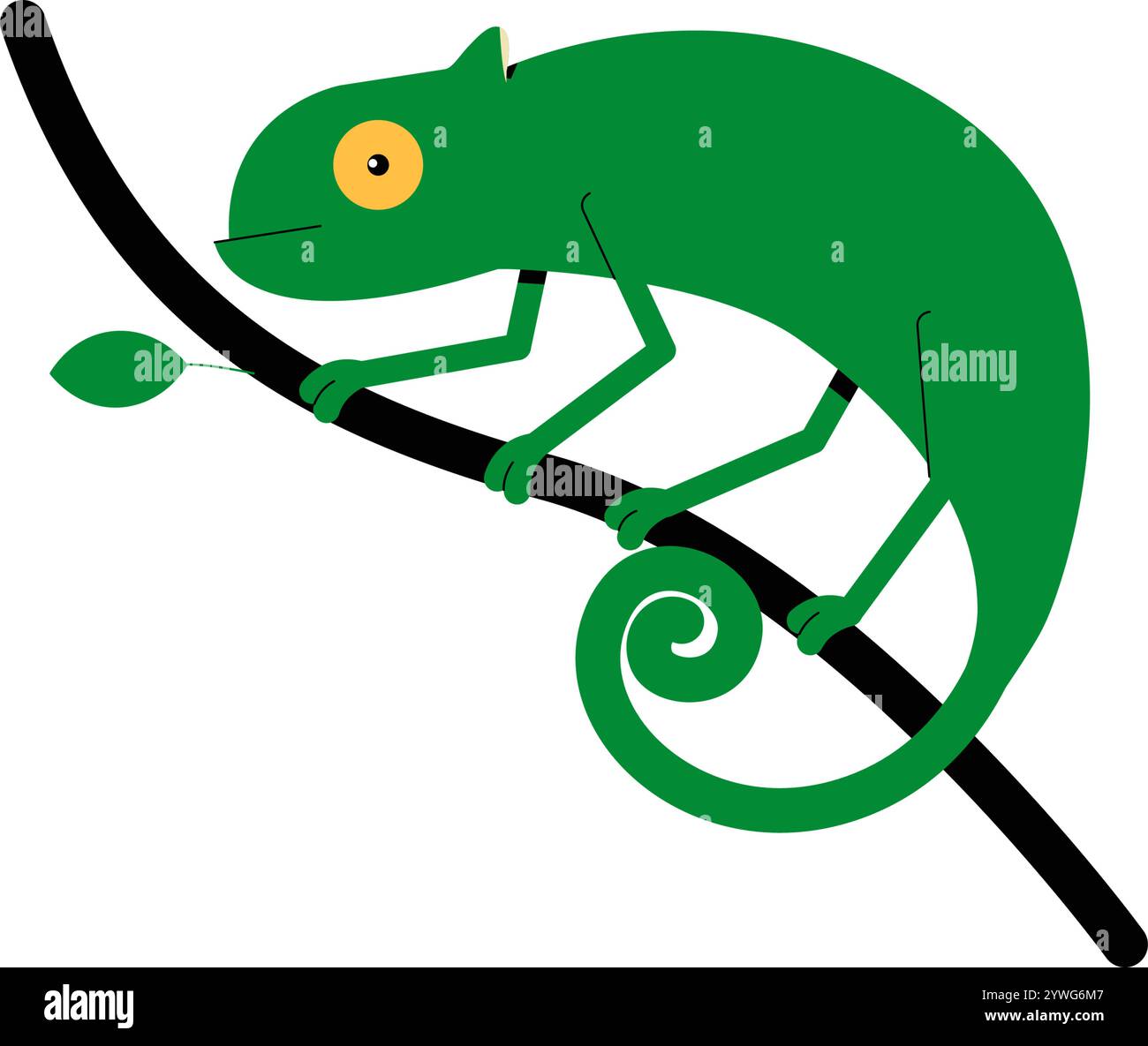 Animal Adaptation Clipart