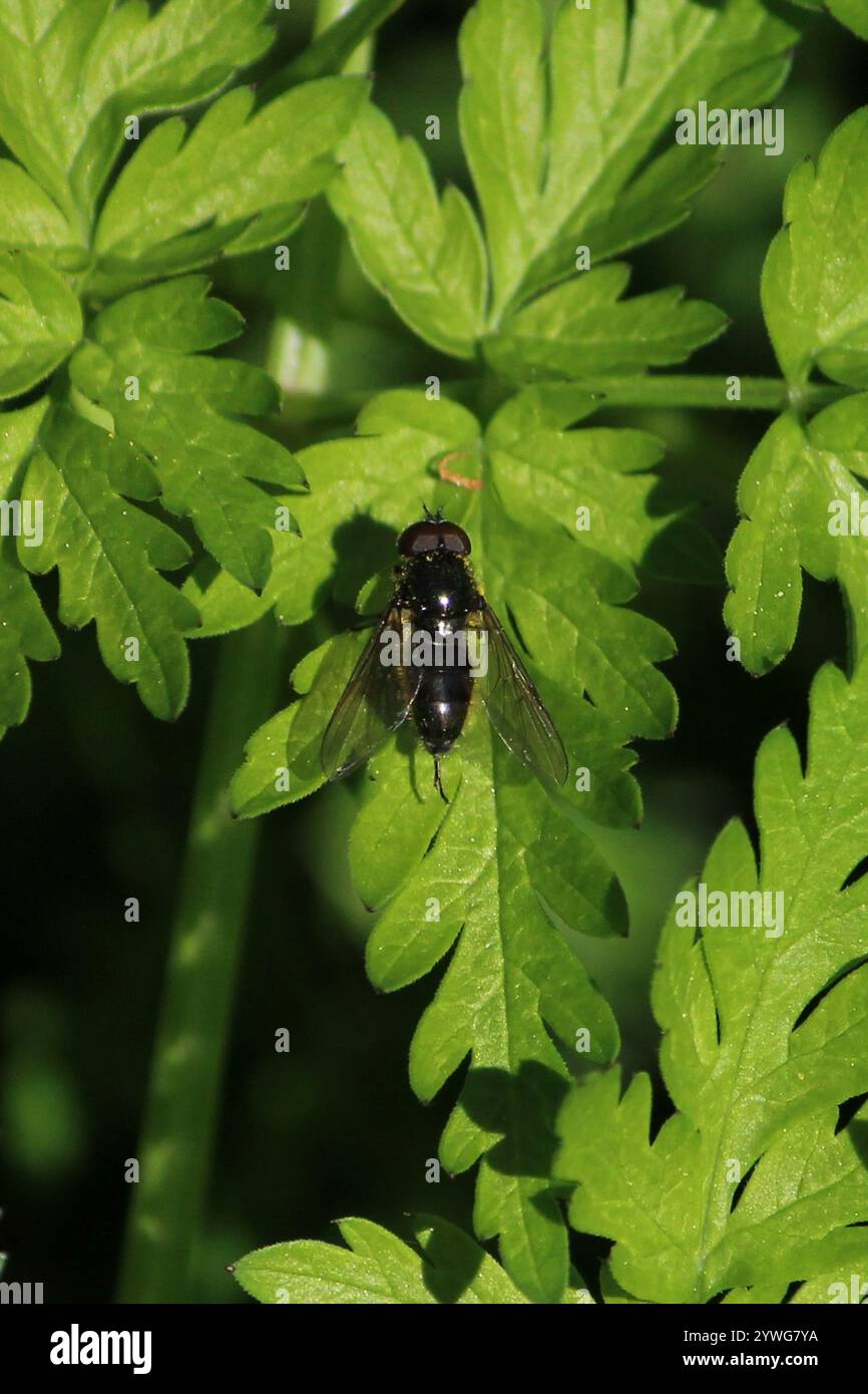 Pitheads hi-res stock photography and images - Alamy