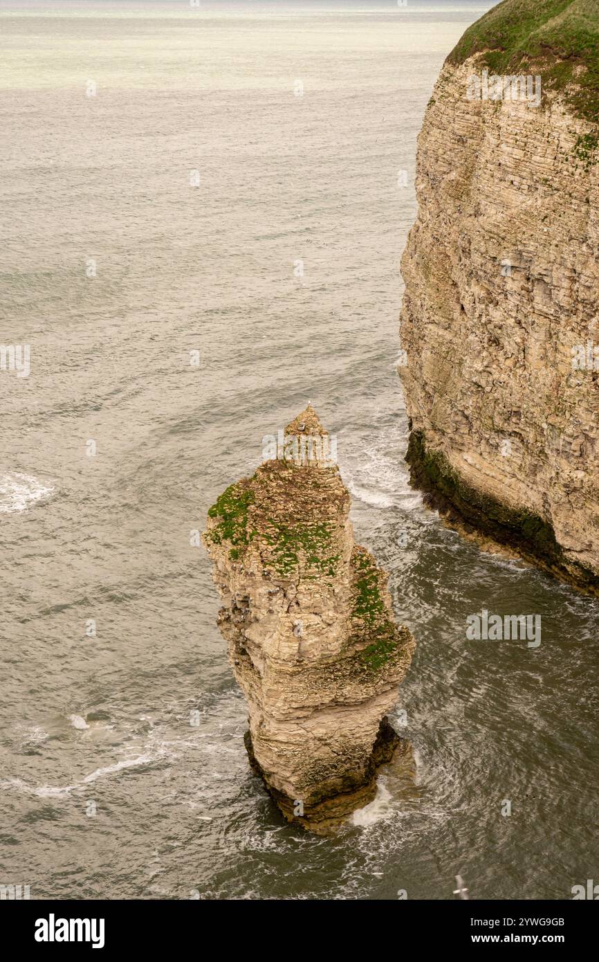 sheer, vertical cliffs & a stack at bempton, north yorkshire, england ...