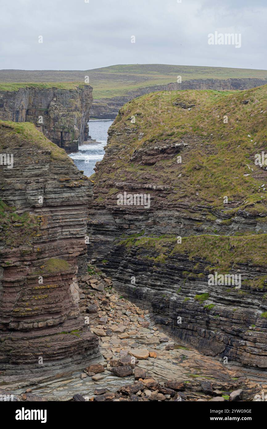 sheet, steep cliffs with vegetation in scotland, uk Stock Photo - Alamy