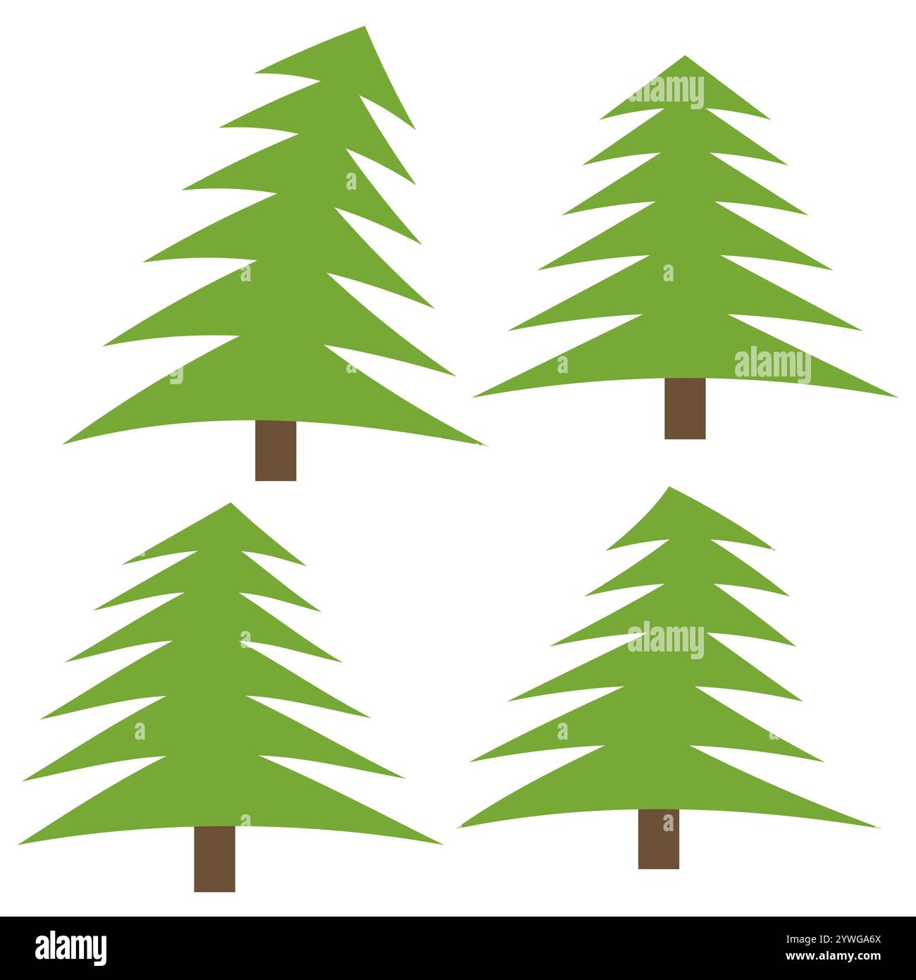 White pine group Stock Vector Images - Alamy